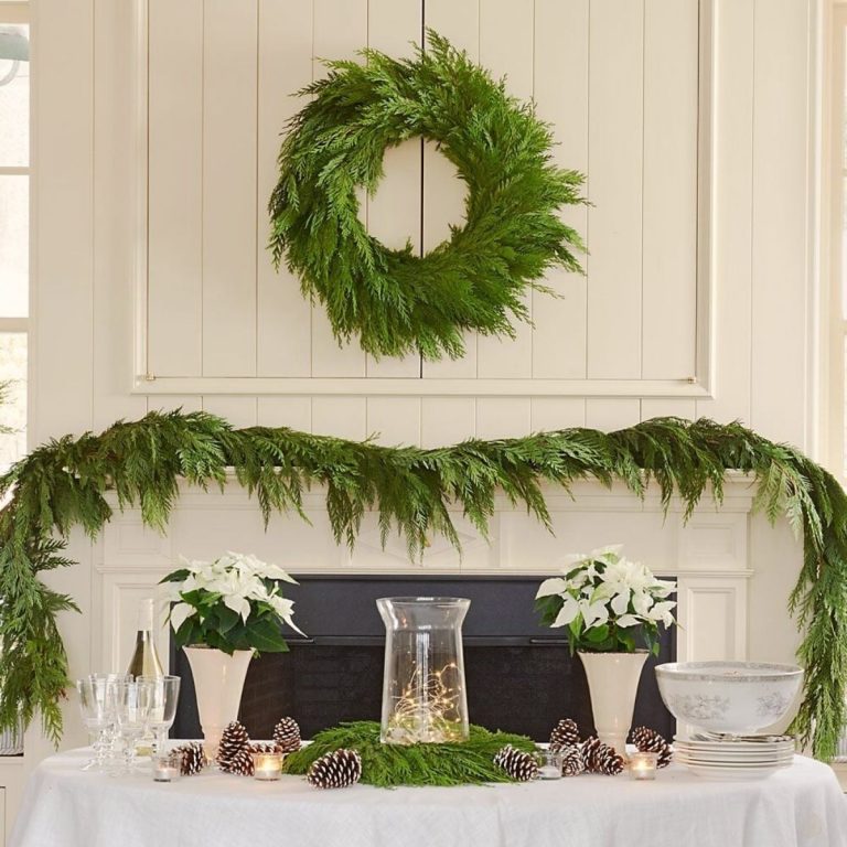 8 soorten vers kerstgroen voor de feestdagen – Agra-Wool | International