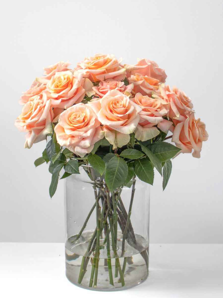 Rose Phoenix – De nieuwe favoriet voor de herfstbruiloft – Agra-Wool ...